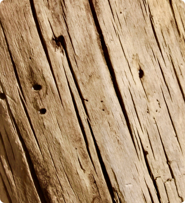 scent details - open air